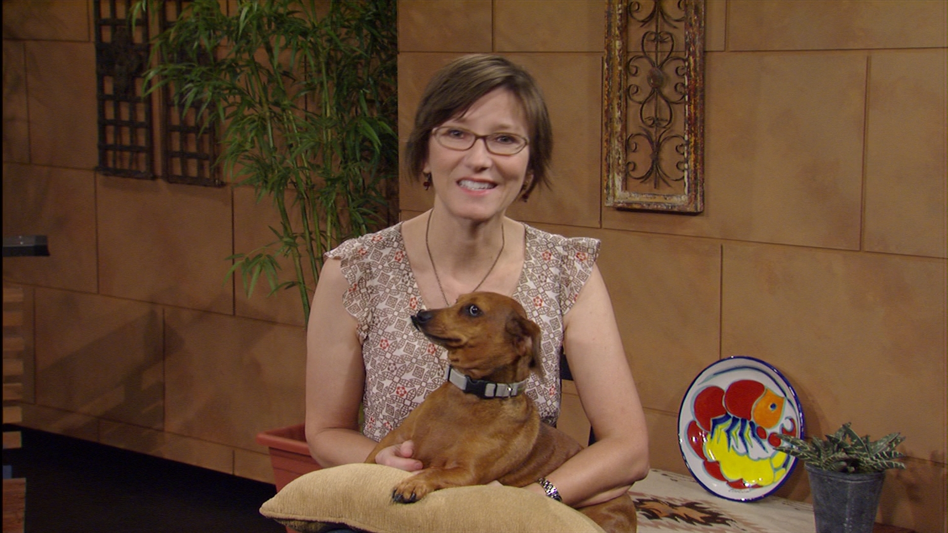 Daphne Richards Katydids Central Texas Gardener