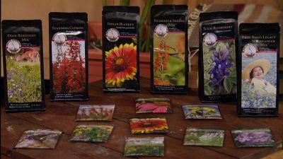 Native American Seed selection | Central Texas Gardener