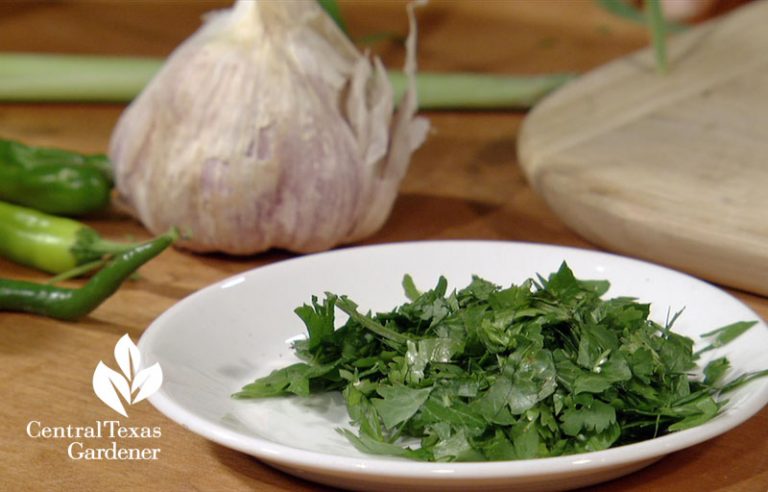 Vietnamese Garlic Chives Soup (Canh Dau Hu He) | Central Texas Gardener