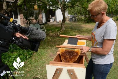 Bee-Hind the Scenes With Beekeepers & How We Help | Central Texas Gardener
