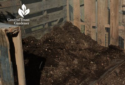 Winter Savory, Weaving Design, Compost Magic | Central Texas Gardener
