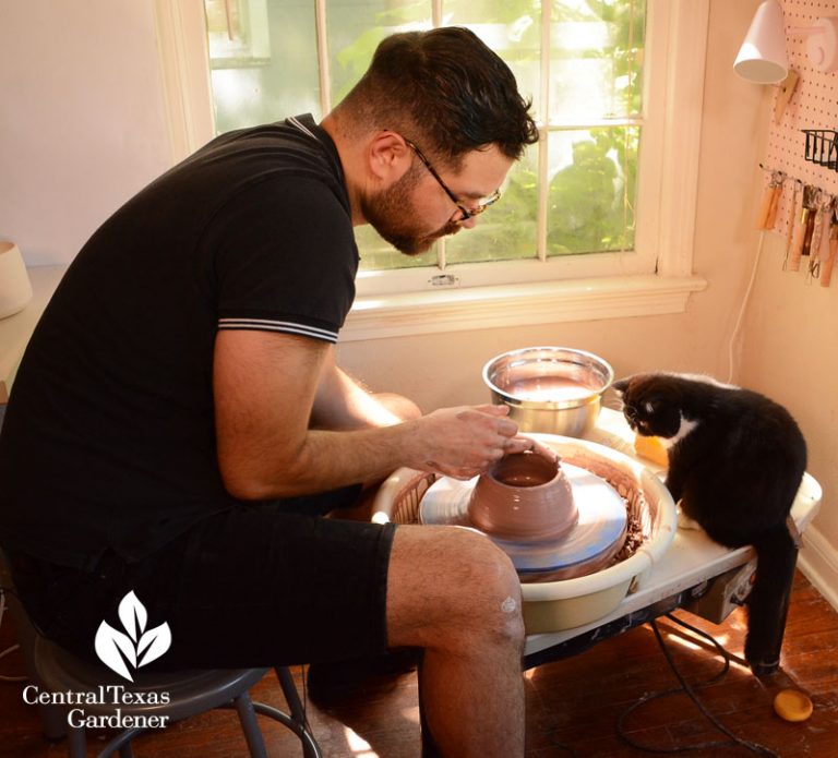 Leaf Love & Why Not to Prune Now | Central Texas Gardener