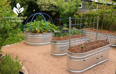 Put the Plus into Small Gardens | Central Texas Gardener