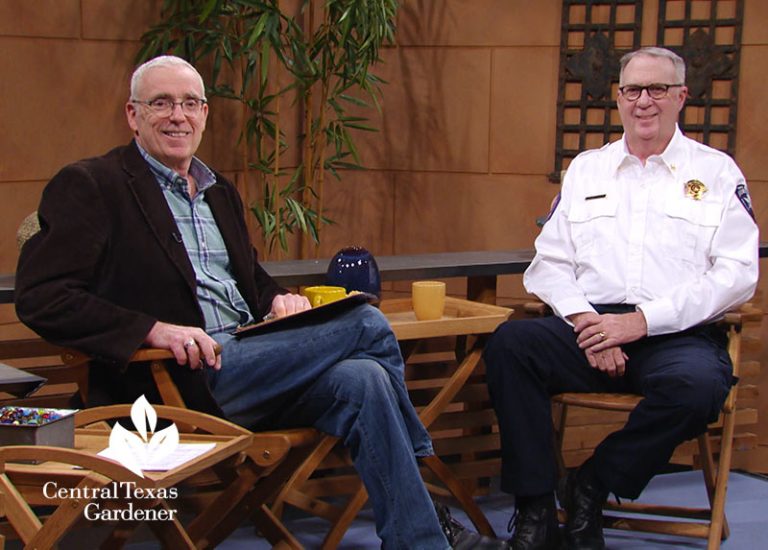 Firewise Design, Fertilizing Trees, Starting Tomato Seeds | Central ...