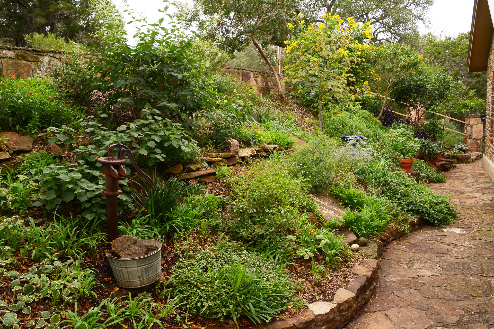 I Meet the Coolest People! | Central Texas Gardener