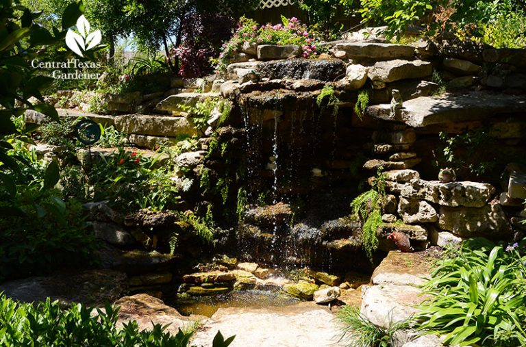 Dry Creek & Ravine Waterfall Design, Sedge Lawn, Wimberley Gardens ...