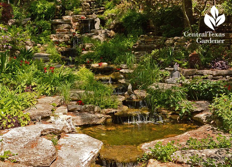 Dry Creek & Ravine Waterfall Design, Sedge Lawn, Wimberley Gardens ...