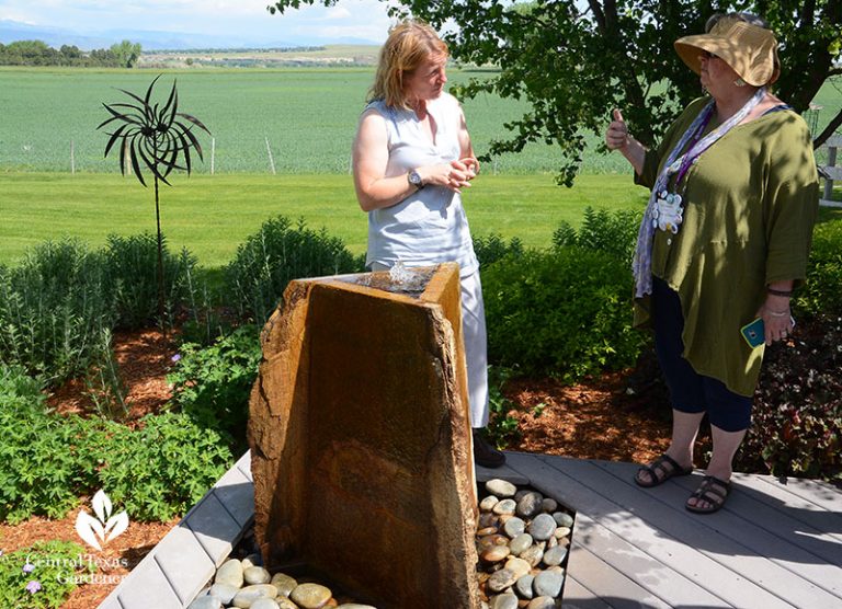 Relaxation Tricks: Garden Perches + Water | Central Texas Gardener