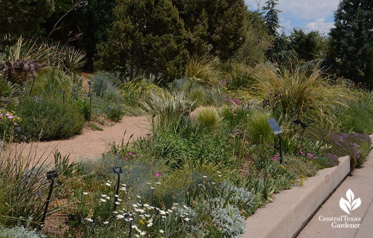 Plant Passionate: Panayoti Kelaidis | Central Texas Gardener