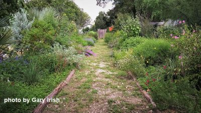 Mary and Gary Irish drought design border | Central Texas Gardener