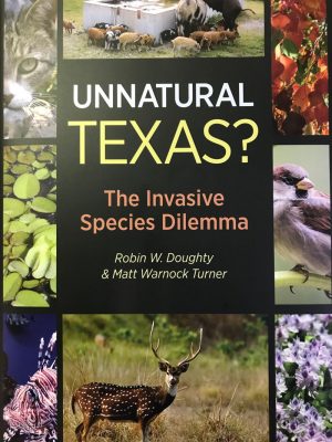 Invasive Species Dilemma | Central Texas Gardener