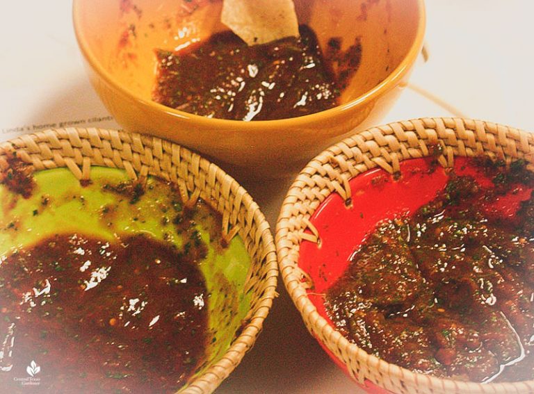 Chile pequin/tepin salsa | Central Texas Gardener