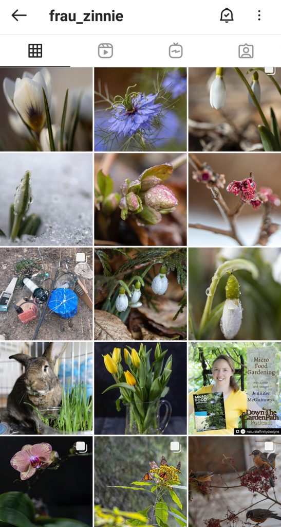 Tiny Plants for Big Tastes with Jen McGuinness! | Central Texas Gardener