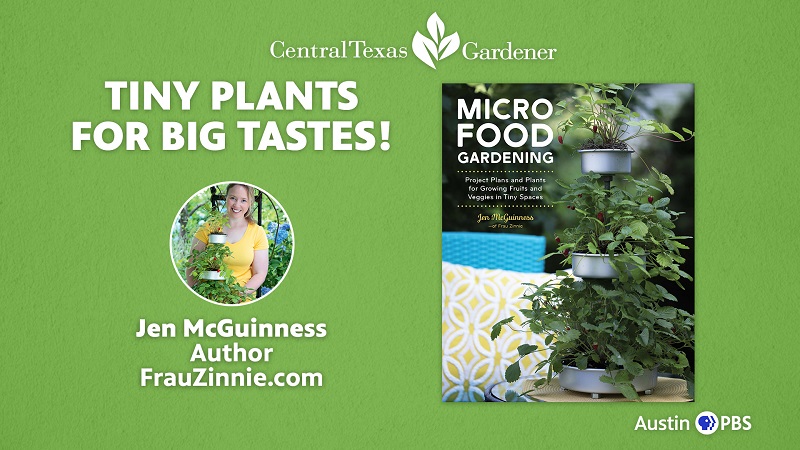 Tiny Plants for Big Tastes with Jen McGuinness! | Central Texas Gardener