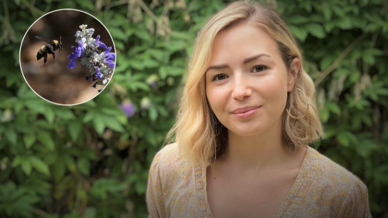 Planting Pollinator Diversity | Central Texas Gardener