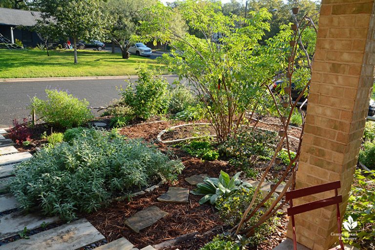 Permaculture Garden Design: Suthi and Sanjay Nagar | Central Texas Gardener