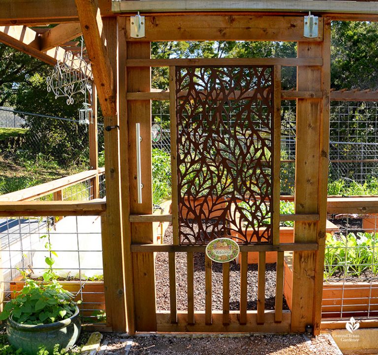 Enclosed Raised Bed Garden Design | Central Texas Gardener