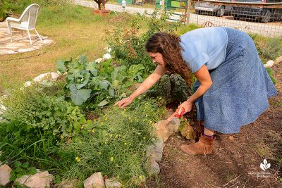 Blog Central Texas Gardener