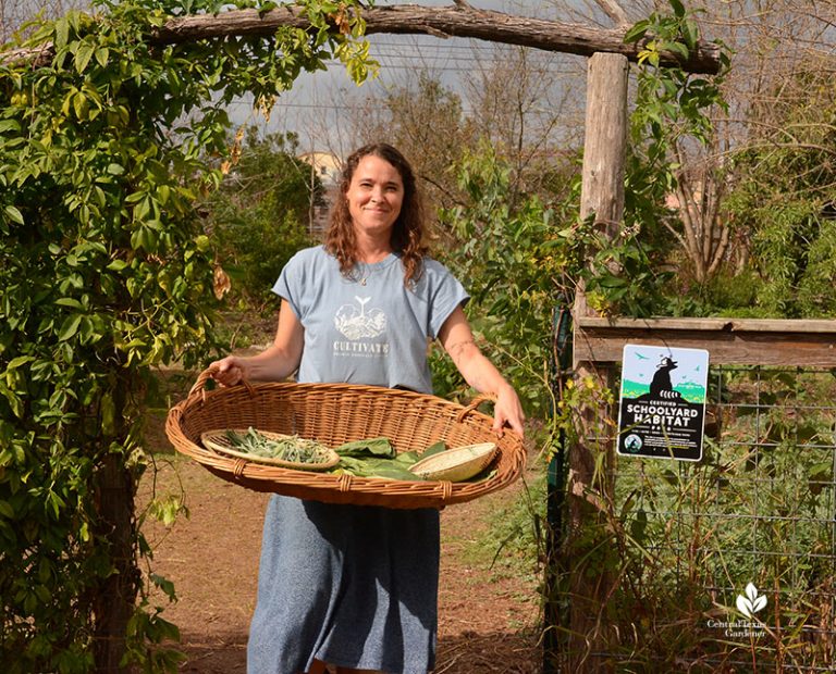 Cultivate Holistic Living with Permaculture Design | Central Texas Gardener