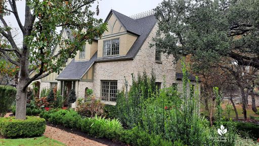 Romancing Shade, Even in Winter | Central Texas Gardener