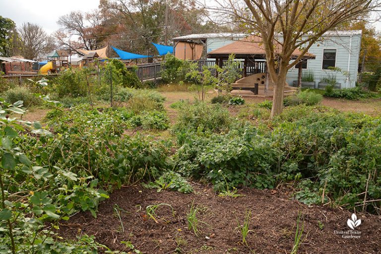 Cultivate Holistic Living with Permaculture Design | Central Texas Gardener