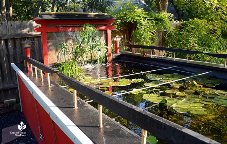 Peaceful Island: Backyard Japanese Pond Garden | Central Texas Gardener
