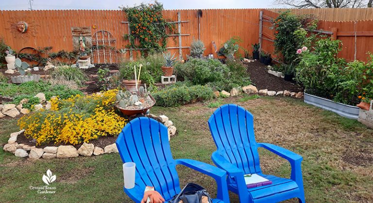 Blank Backyard to Central Texas Cottage Habitat | Central Texas Gardener