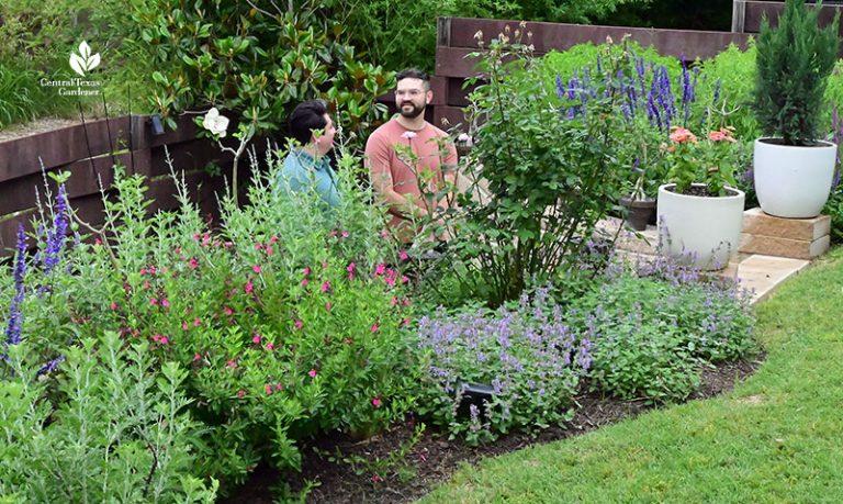 A Journey from Lawn to Lovely | Central Texas Gardener