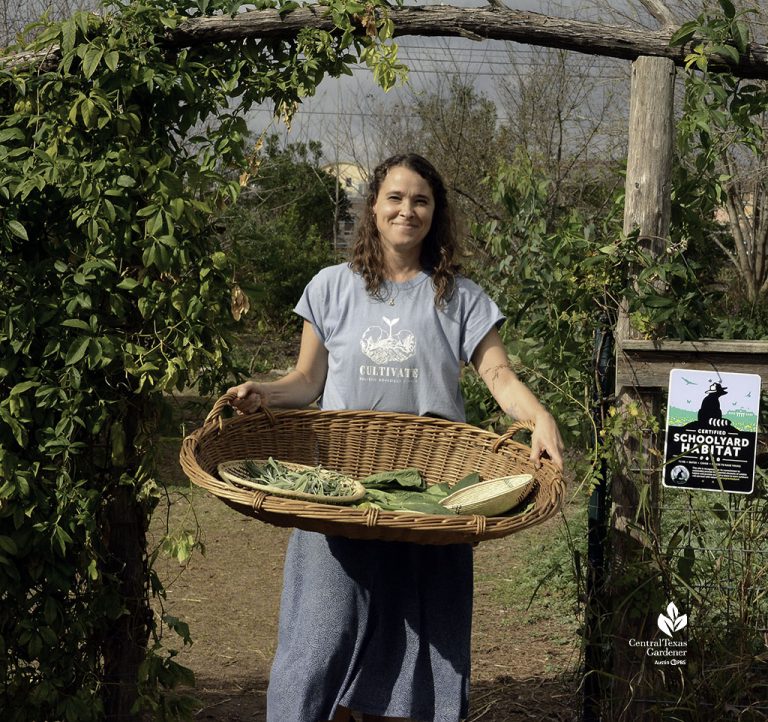 Blog | Central Texas Gardener