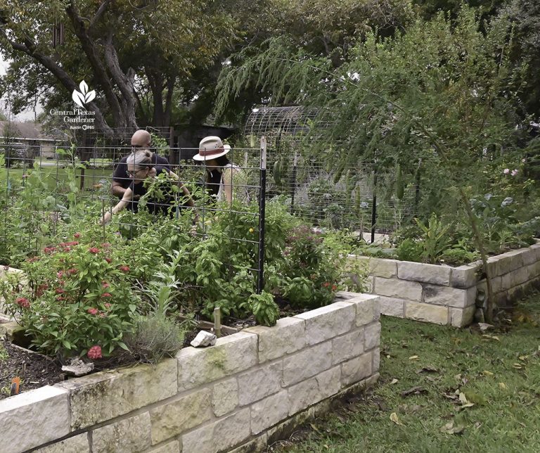 Permaculture Design: Raised Beds and Food Forest | Central Texas Gardener