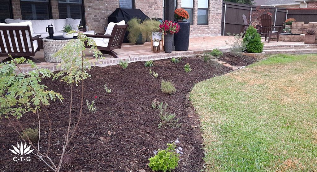 Less Lawn, More Wildlife, Lessons Learned | Central Texas Gardener