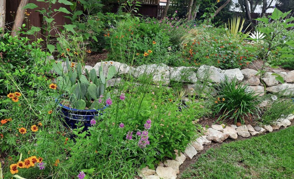 Drought-tough Cottage Design with Native Plants | Central Texas Gardener