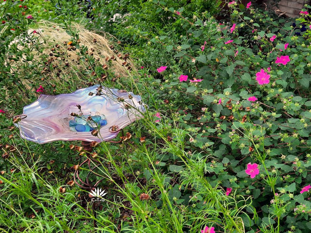 Drought-tough Cottage Design with Native Plants | Central Texas Gardener