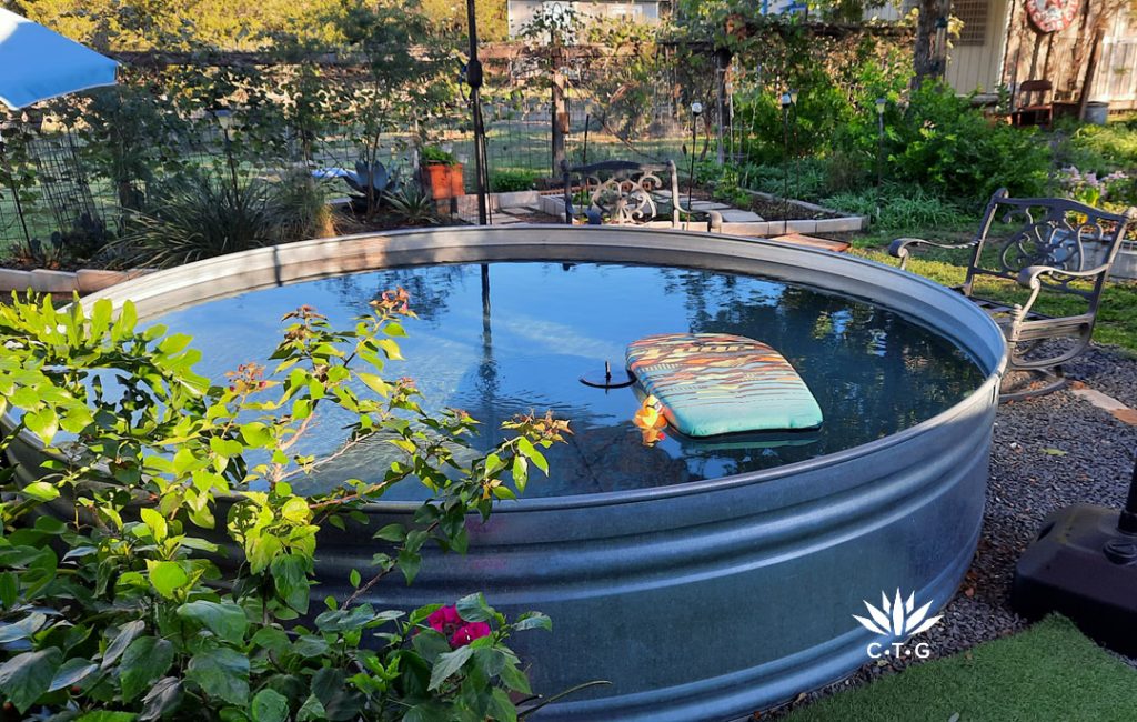 New Ideas for Old Yard | Central Texas Gardener