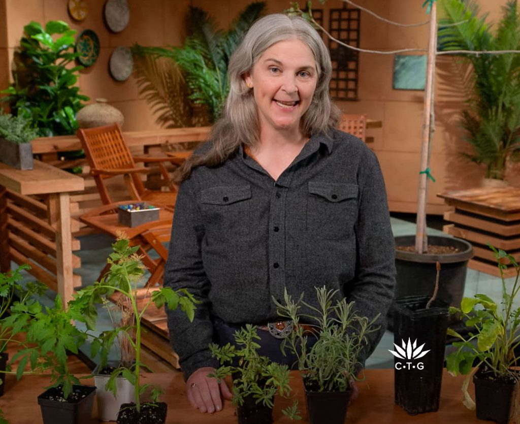 Plants for Earth-Friendly Gardens: New Episode! | Central Texas Gardener