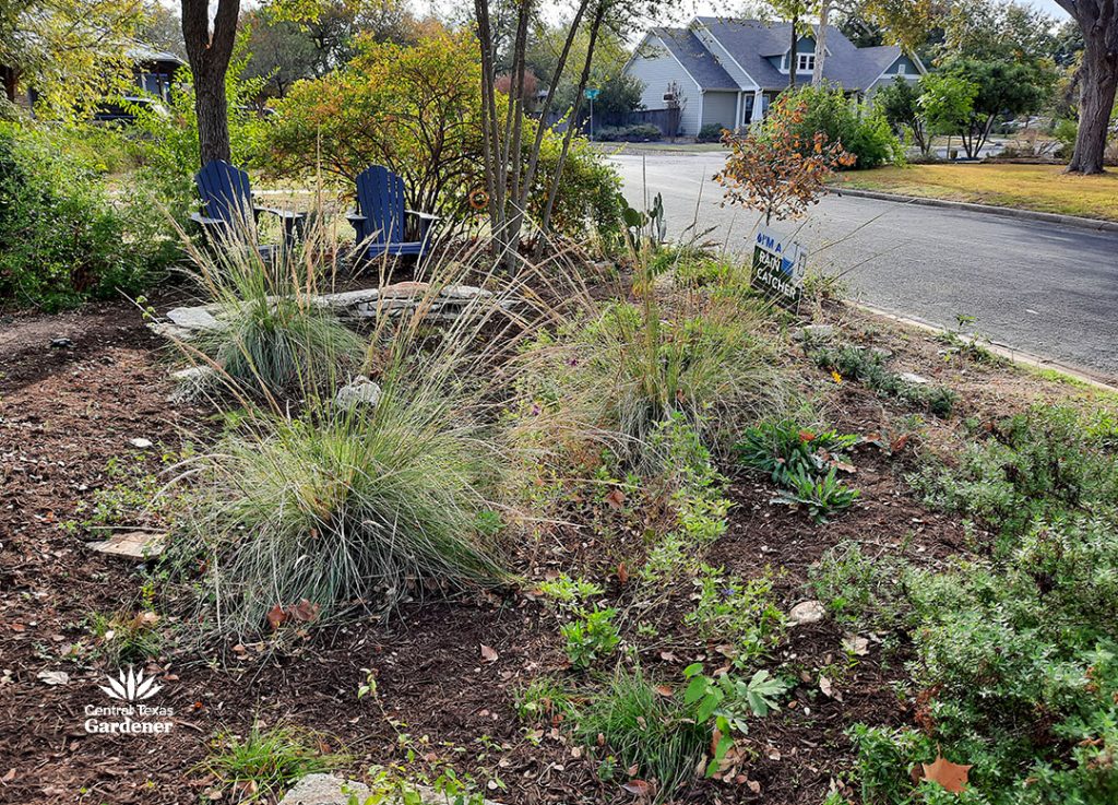 Blog | Central Texas Gardener