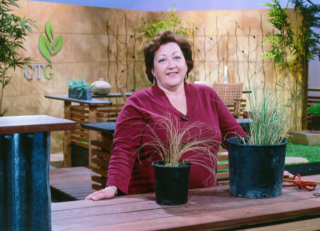 30 Seasons and Countless Memories! | Central Texas Gardener